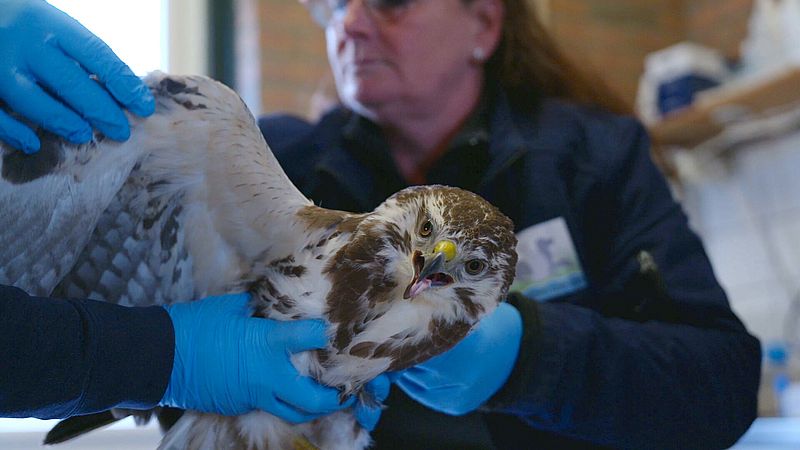 Opvang voor wilde dieren vecht boete voor 'ernstige misstanden' aan ... Opvang voor wilde dieren vecht boete voor 'ernstige misstanden' aan ...